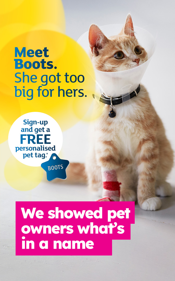 AA Pet Insurance – Quantum Jump