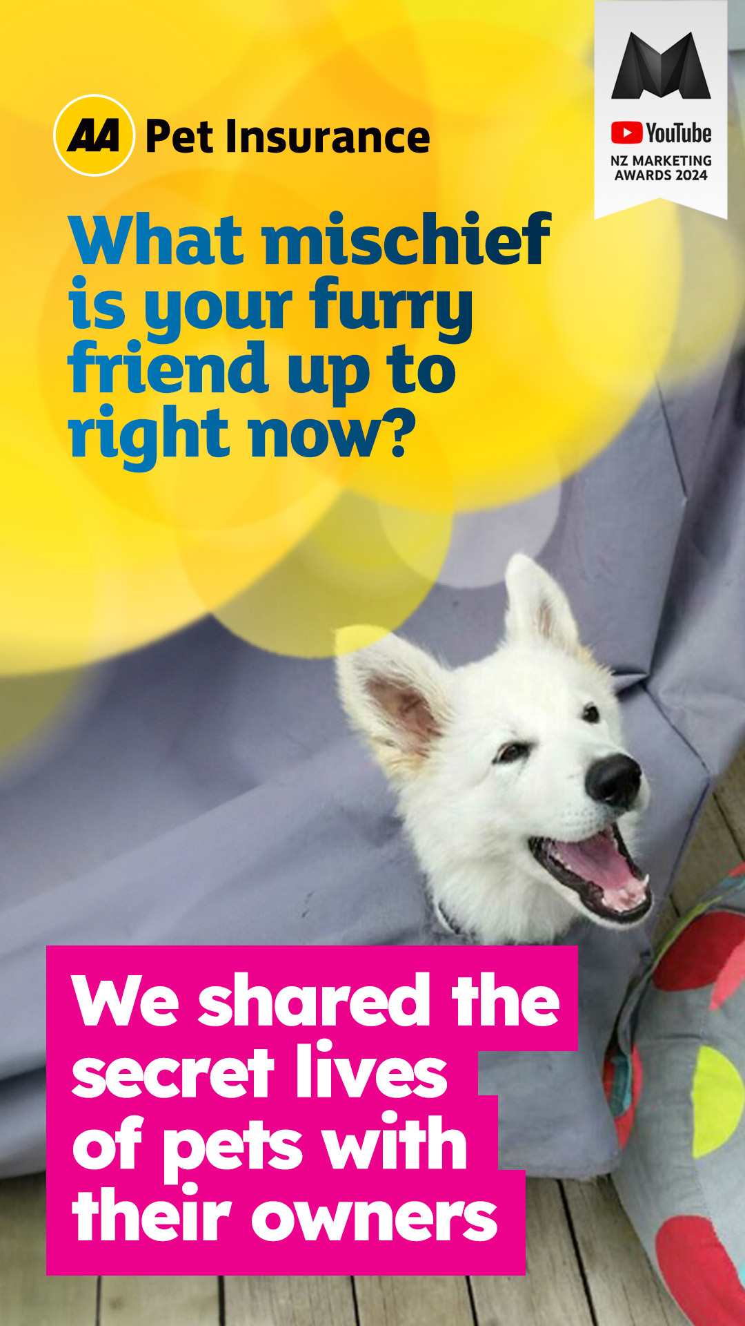 AA Pet Insurance: Mischief – Quantum Jump